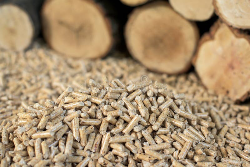 Pile of beech firewood stock photo. Image of energy, shot - 22279696