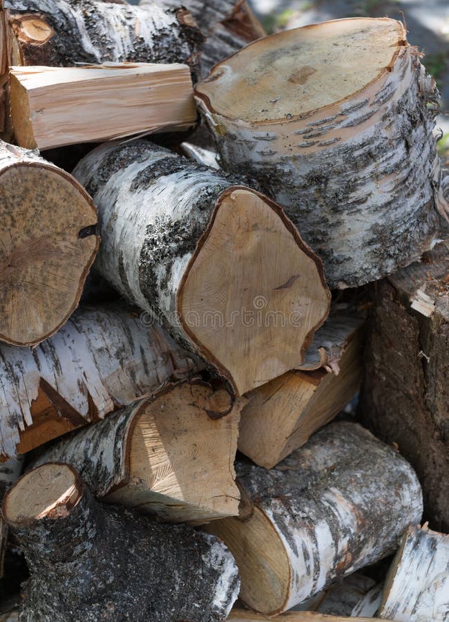 A pile of big birch logs stock image. Image of metal - 209785759