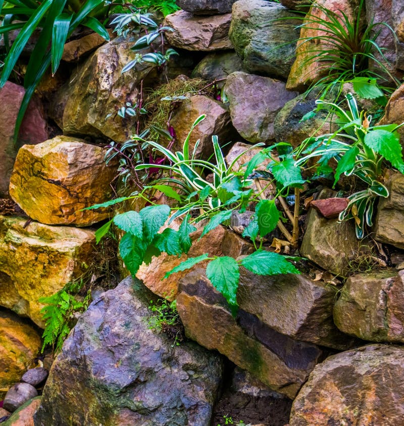 Pile of Big Boulder Stone Rocks Stacked on a Pile a Beautiful Garden ...