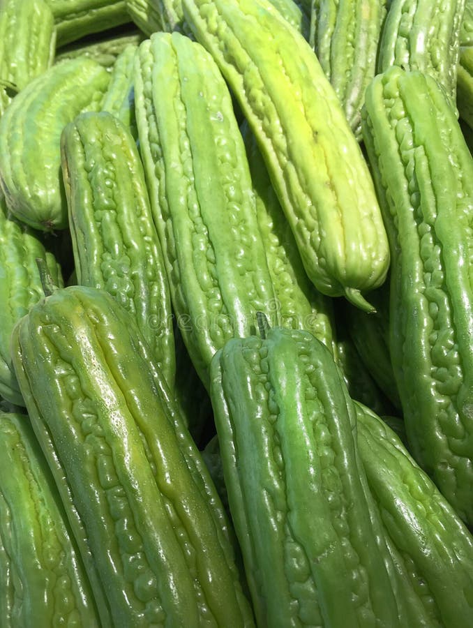 Pile of Bitter Cucumbers stock image. Image of nutrient - 101377693