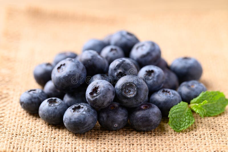 Pile of Blueberries, Healthy Fruit Stock Image - Image of fruit, summer ...