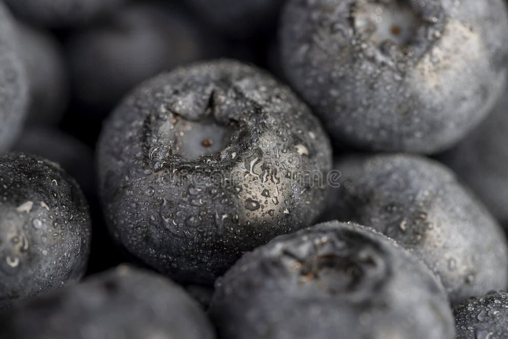 A Pile of Blueberries Scattered on the Board Stock Image - Image of ...