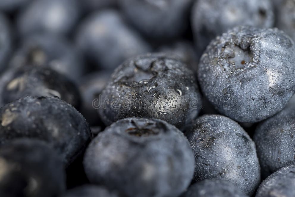 A Pile of Blueberries Scattered on the Board Stock Photo - Image of ...