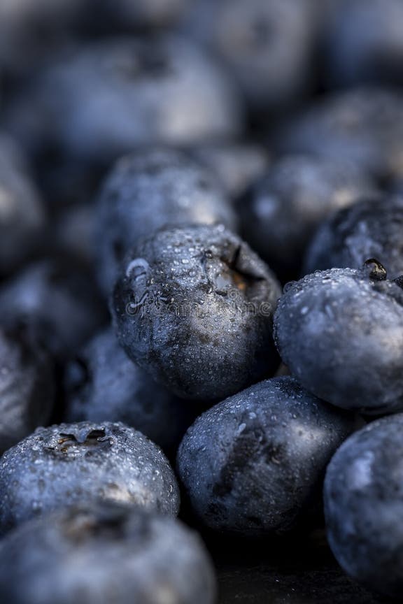 A Pile of Blueberries Scattered on the Board Stock Photo - Image of ...