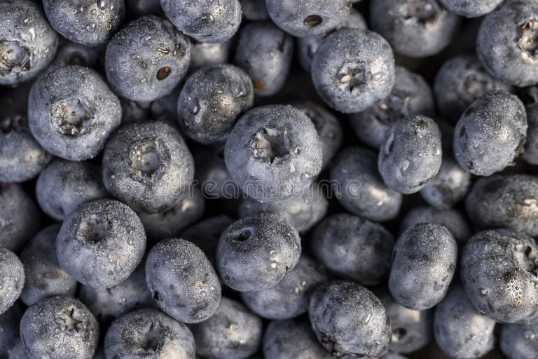 A Pile of Blueberries Scattered on the Board Stock Image - Image of ...