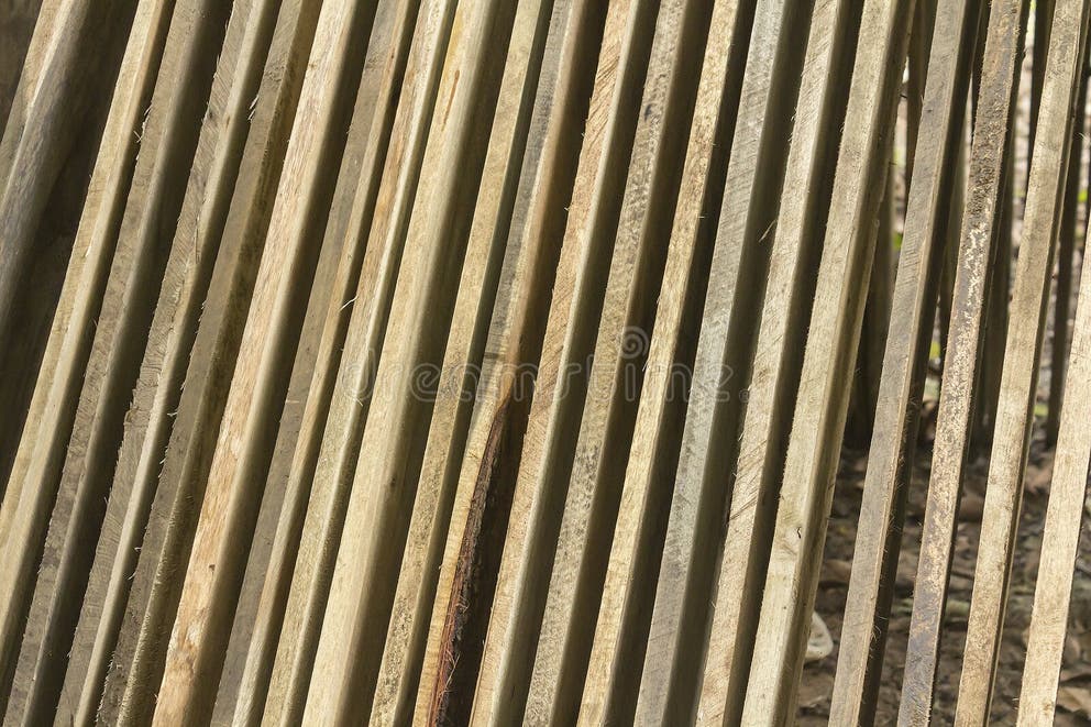 Pile of boards stock image. Image of rough, logging, nature - 46709843