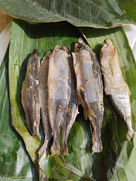 Pile of Boiled Fish on a Sheet of Leaves Stock Photo - Image of fish ...