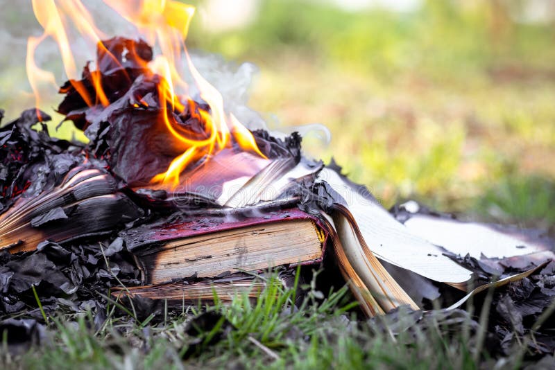 A Pile of Books is Burning on the Fire Stock Photo - Image of ignorance ...