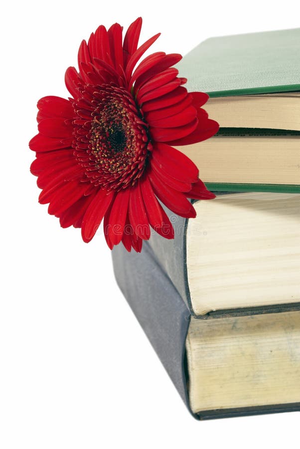 Pile of Books with a Flower. Stock Image - Image of leaf, cover: 15345109