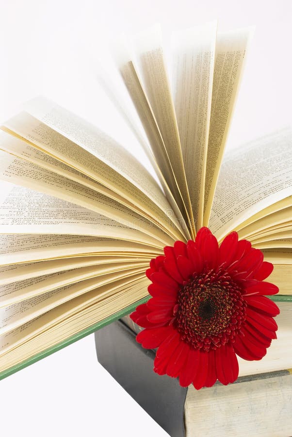 Pile of Books with a Red Flower. Stock Photo - Image of hardcover ...