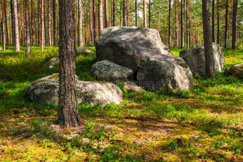 225 Pile Boulders Forest Stock Photos - Free & Royalty-Free Stock ...