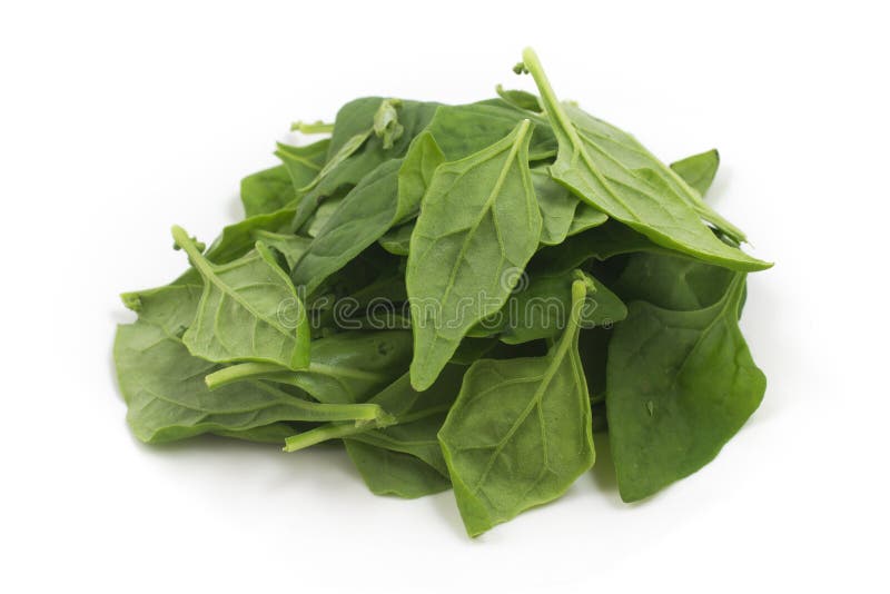 Brazilian Spinach Cultivation in Hydroponic System Stock Image - Image ...