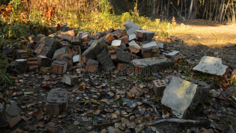 Pile of bricks in forest stock video. Video of ecology - 233347991