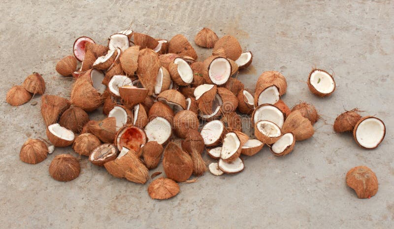 A pile of broken coconuts. stock photo. Image of background - 117503502