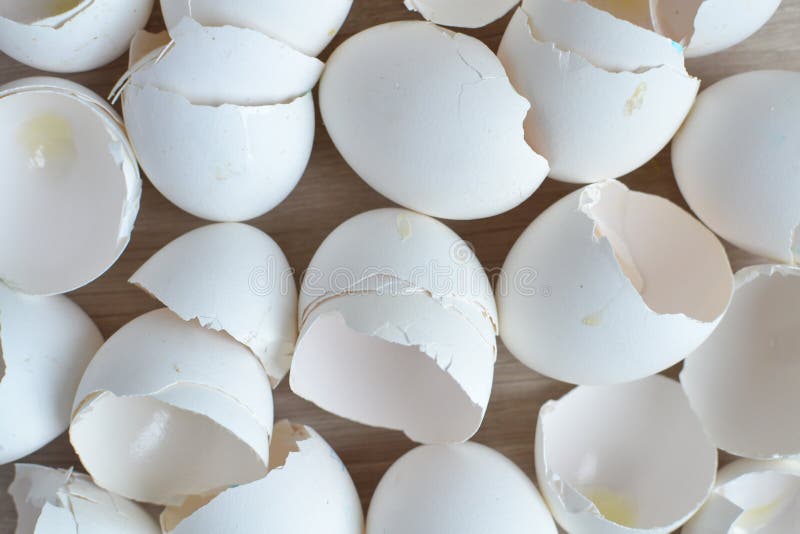 Broken empty eggshell stock image. Image of shell, chicken - 1710819
