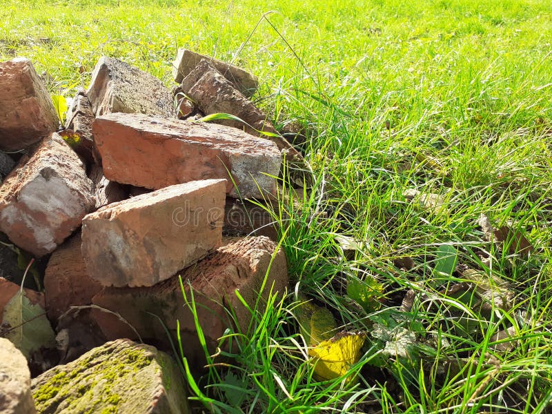 Scattered Bricks on the Grass Stock Photo - Image of brick, scattered ...