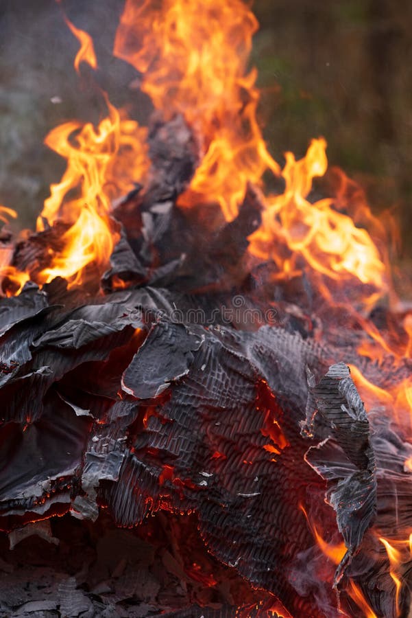 Burning Cardboard Box on the Ground Burning Garbage Stock Photo - Image ...