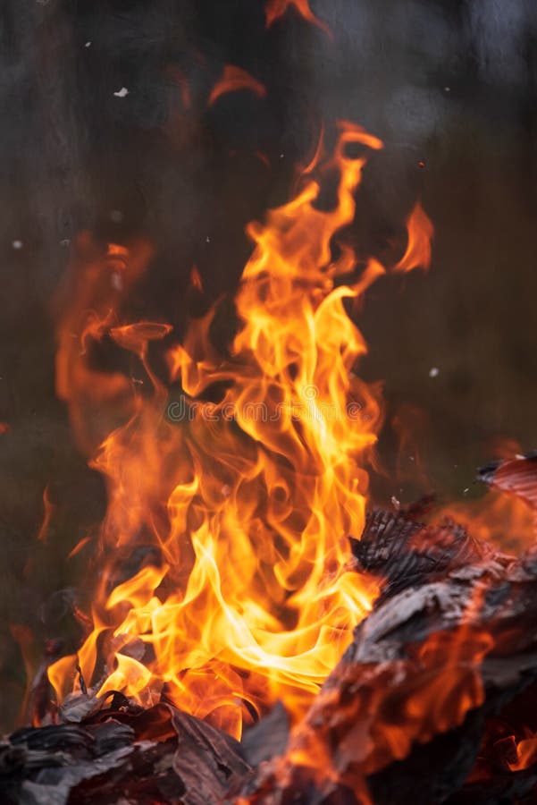 Pile of Burning Cardboard and Waste Paper Stock Photo - Image of ...
