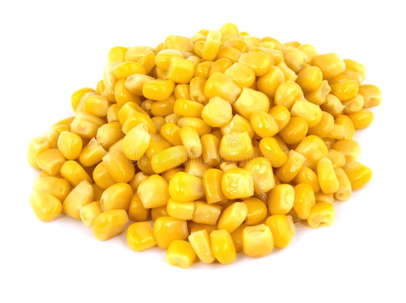 Sweet Corn Isolated on White Background Stock Photo - Image of white ...