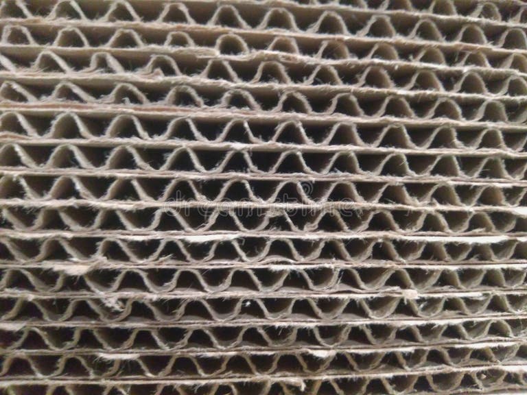 450 Cardboard Forms Stock Photos - Free & Royalty-Free Stock Photos ...