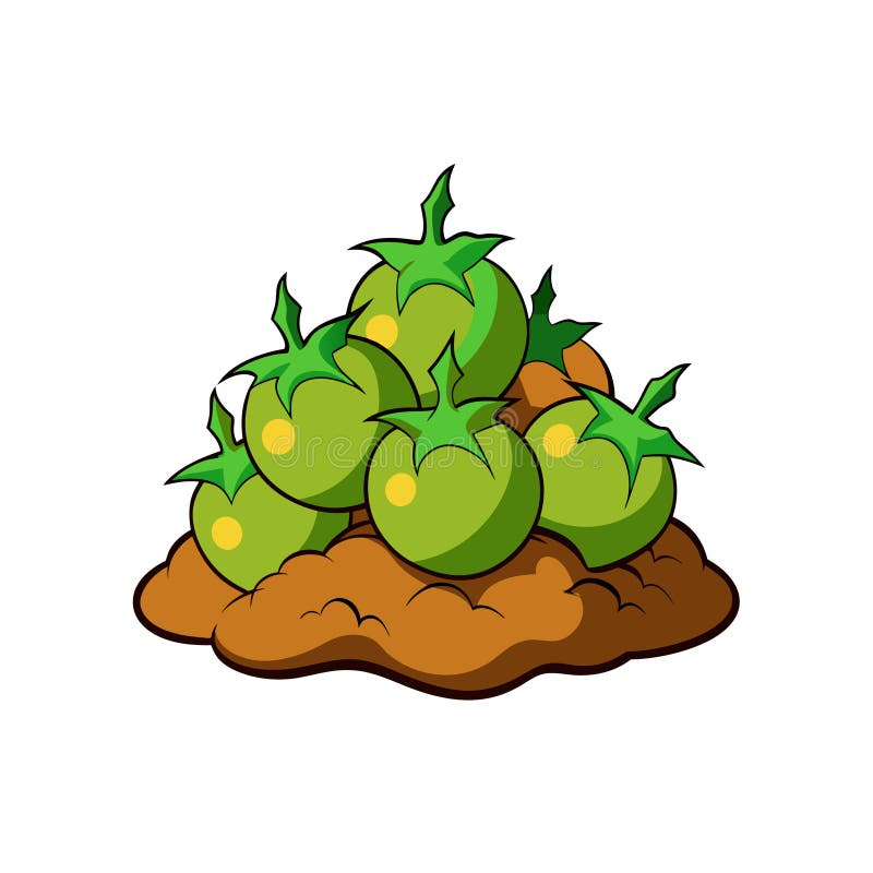 Pile of Cartoon Green Tomatoes on Brown Soil Stock Image - Illustration ...