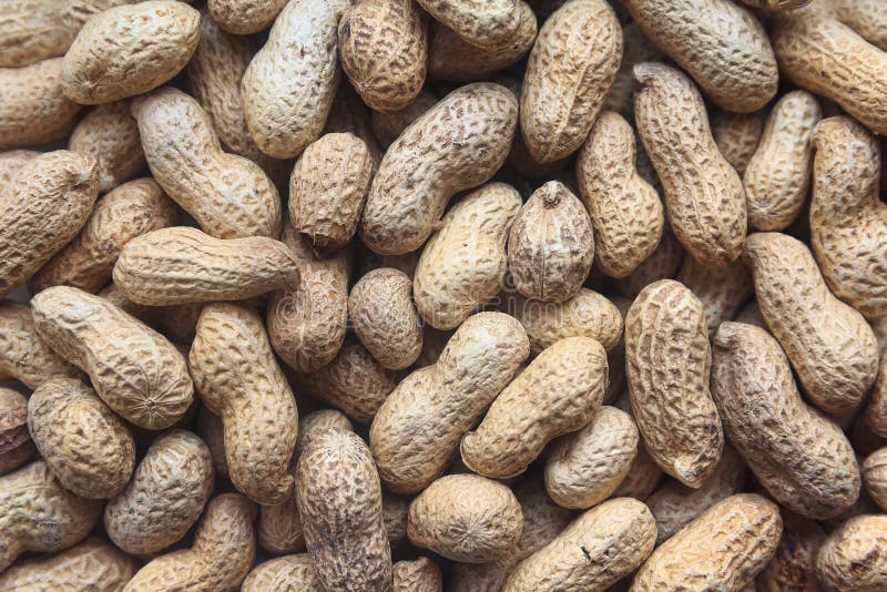 142 Cashew Nut Skin Stock Photos - Free & Royalty-Free Stock Photos ...