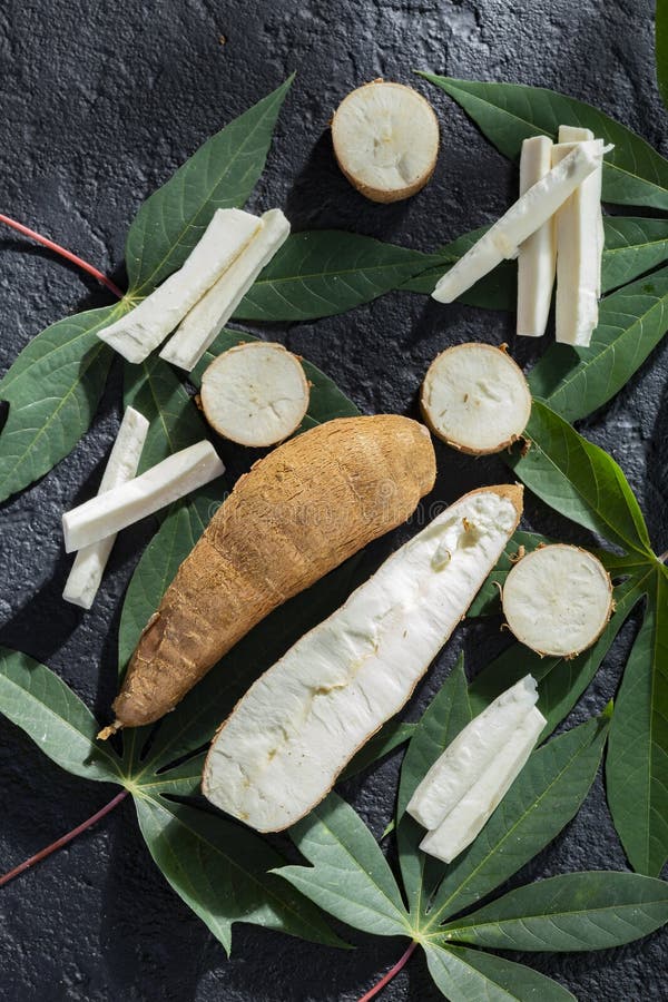 274 Cassava Peel Texture Stock Photos - Free & Royalty-Free Stock ...