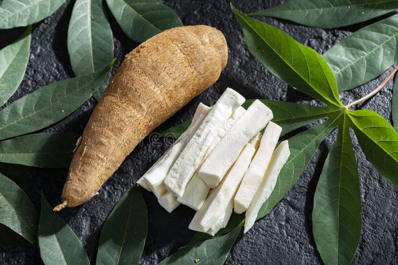 235 Cassava Peel Texture Stock Photos - Free & Royalty-Free Stock ...