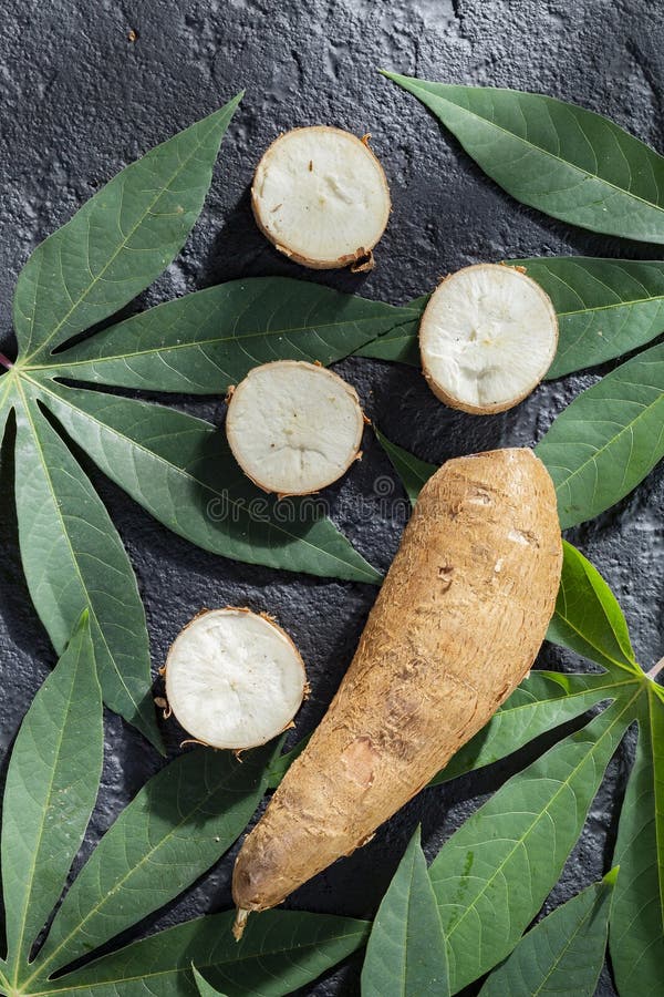 235 Cassava Peel Texture Stock Photos - Free & Royalty-Free Stock ...