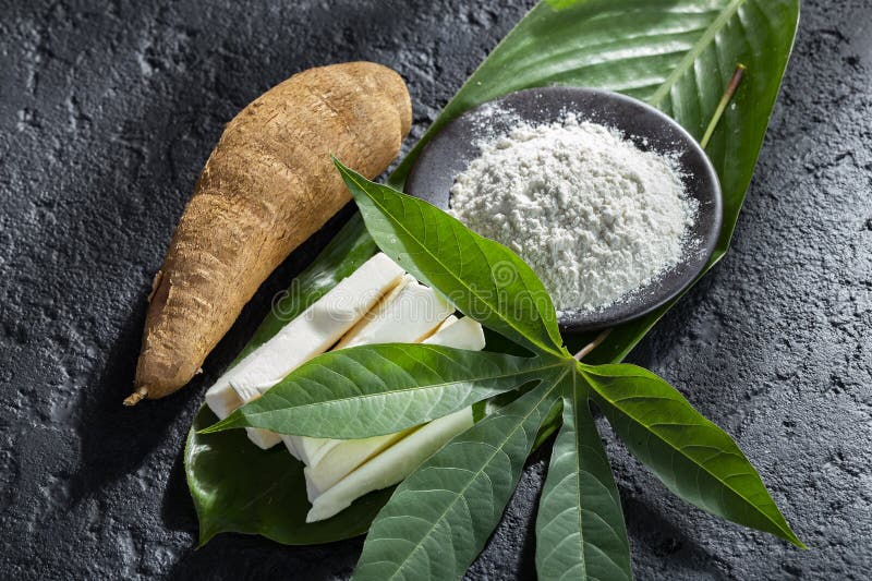 275 Cassava Peel Texture Stock Photos - Free & Royalty-Free Stock ...