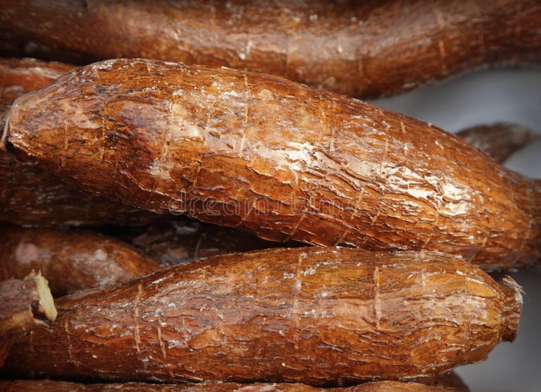 713 Yuca Cassava Root Flour Stock Photos - Free & Royalty-Free Stock ...