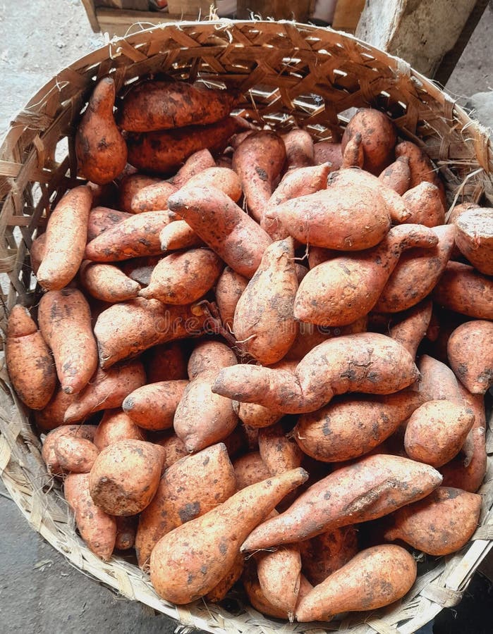 Pile of Cassava in a Woven Bamboo Basket Stock Photo - Image of cassava ...
