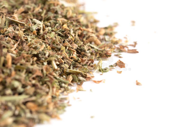 Pile of Catnip on a White Background Stock Photo - Image of organic ...