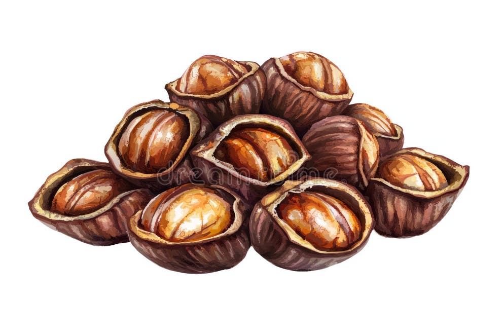 Pile of Chestnuts with Open Shells, Isolated on White Stock Image ...