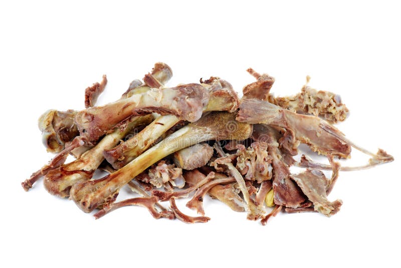 902 Chicken Garbage Stock Photos - Free & Royalty-Free Stock Photos ...