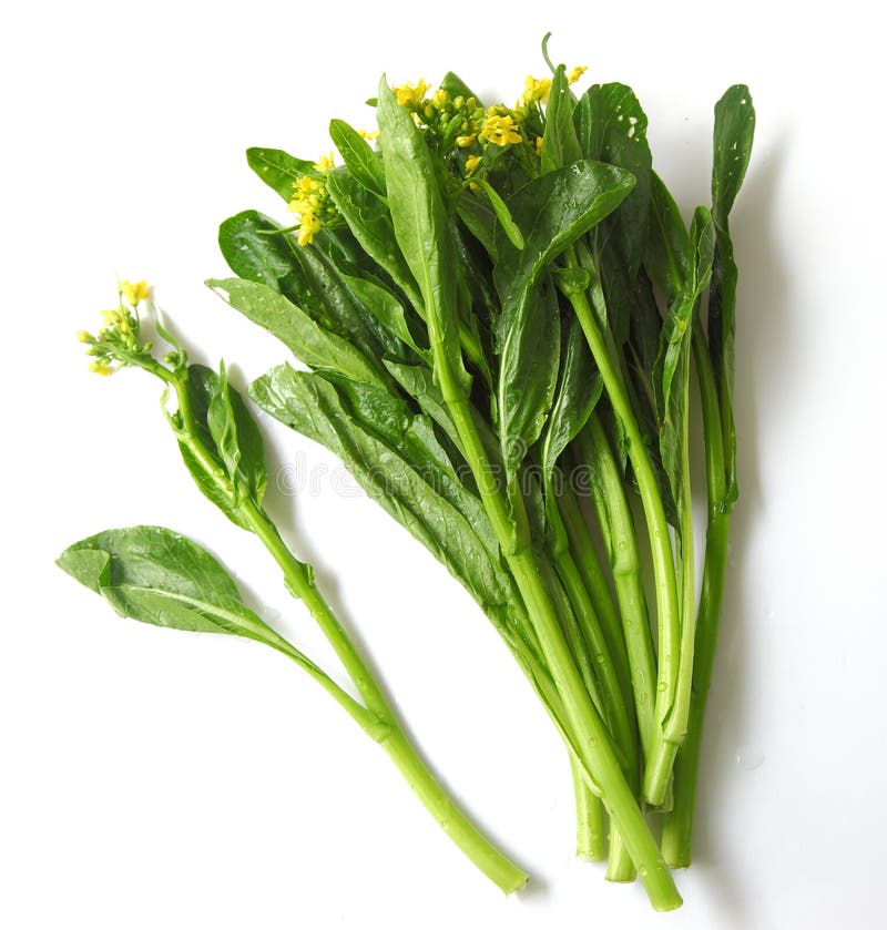 Fresh choi sum stock photo. Image of young, market, choi - 20879700