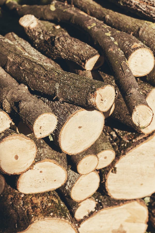 Pile of Chopped Firewood Logs Stock Image - Image of nature, material ...
