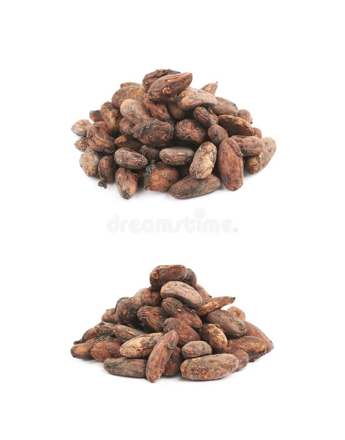 Pile Of Cocoa Beans Isolated Stock Image Image Of Aromatic Food 108577953