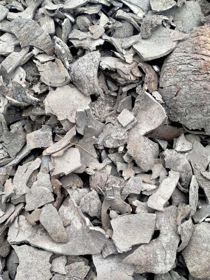 Pile of Coconut Shell Charcoal, Which Has Gone through the Burning ...