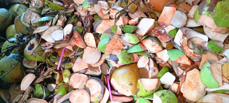 Pile of Coconut Shell Waste, is in the Trash. Stock Photo - Image of ...