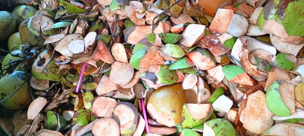 Pile of Coconut Shell Waste, is in the Trash. Stock Photo - Image of ...