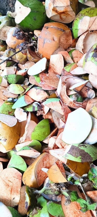 Pile of Coconut Shell Waste, is in the Trash. Stock Image - Image of ...