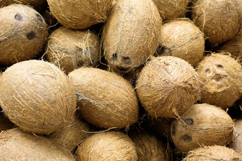 Pile of Coconuts in the Food Market Stock Image - Image of concept ...