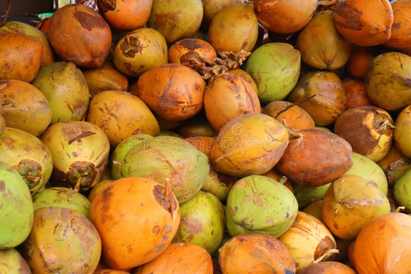 Pile of Coconuts, with Green, Orange, Brown Colors Stock Photo - Image ...