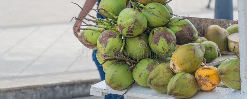 Pile of Coconuts on a Table Display Stock Photo - Image of healthy ...