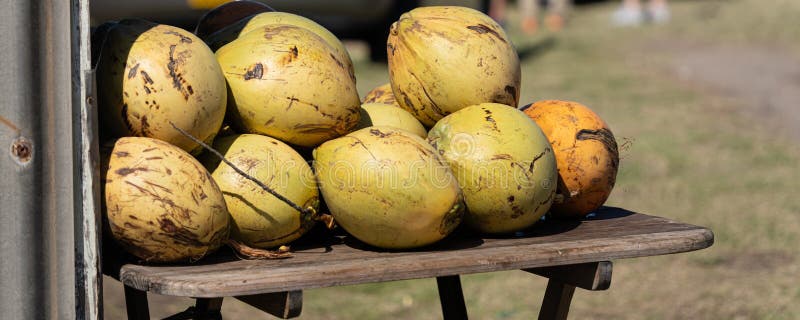 Pile of Coconuts on a Table Dsplay Stock Image - Image of vegetarian ...