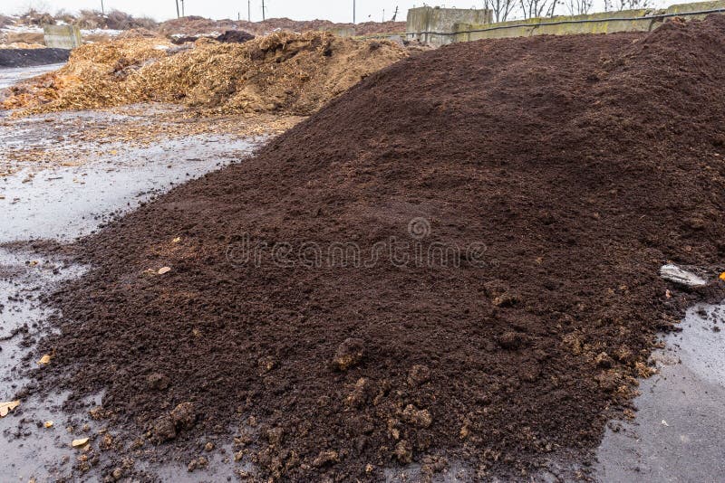 Big Compost Pile, Organic Waste Recycling Process Stock Photo - Image ...