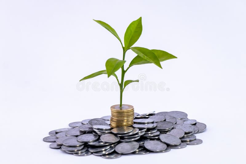 Pile of Coins and Growth of Green Leafy Plant on the Coin Stock Image ...