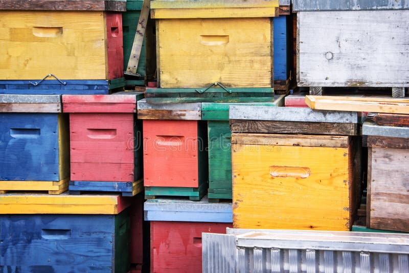 Colorful Beehives of a Wandering Beekeeper #1 Stock Photo - Image of ...