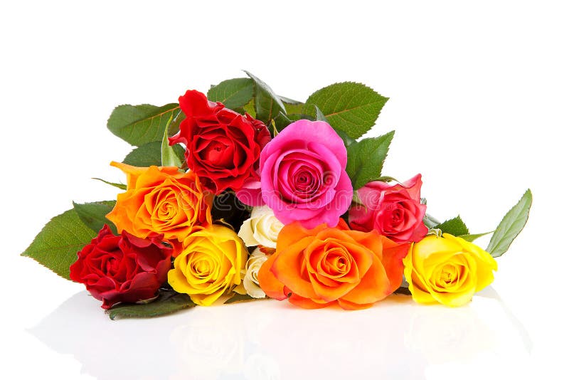 Pile of colorful roses stock photo. Image of closeup - 21923836